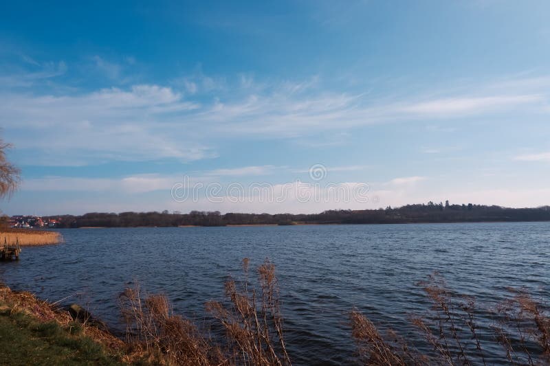 Tree Next To the Lake. Background Day Panorama on the Lake Stock Image ...