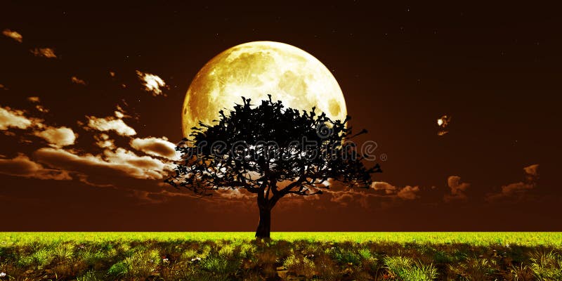 Tree Night Full Moon 3d Render Stock Illustration - Illustration of ...