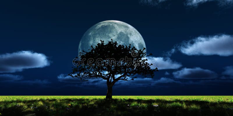 Tree Night Full Moon 3d Render Stock Illustration - Illustration of ...