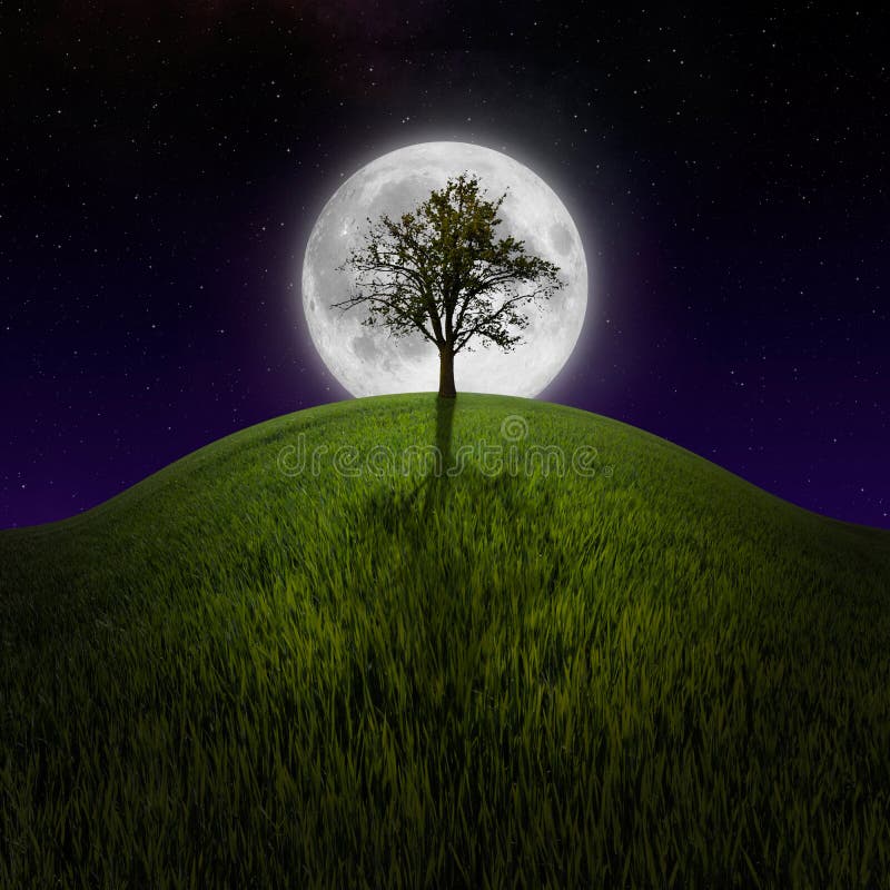 Starry Night Hill Stock Images - Download 3,395 Royalty Free Photos