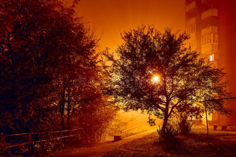 Tree Night Lantern Hell City for Print Stock Image - Image of night ...