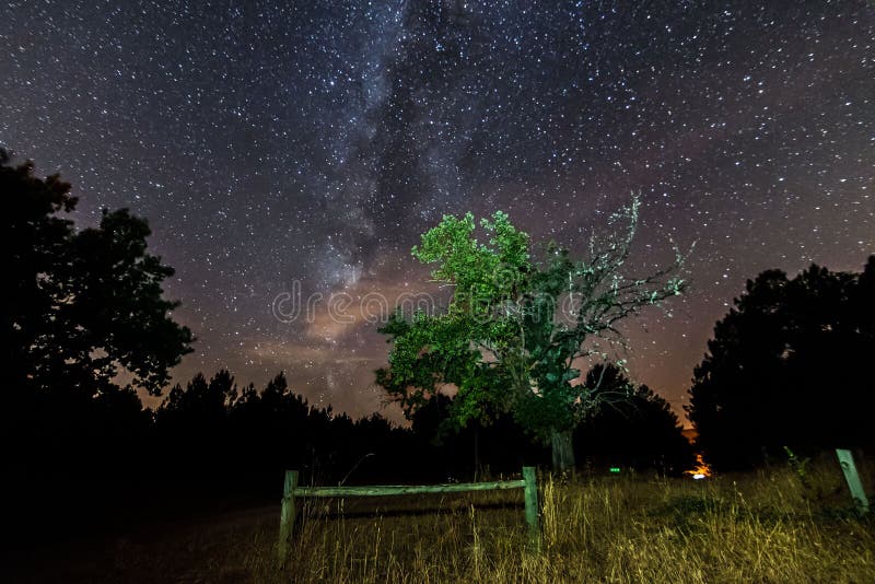 Tree at Night with Moonlight Stock Photo - Image of clouds, moonlight ...