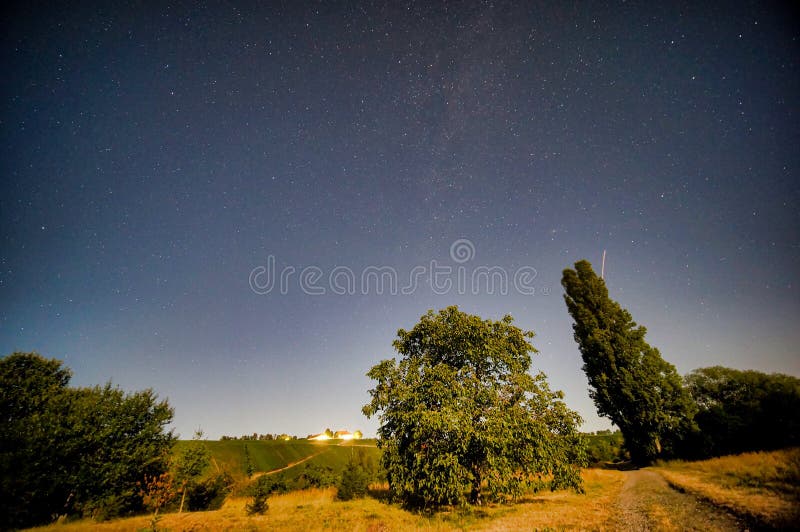 Tree in the Night , Night Sky with Stars, Wide Angle Stock Photo ...