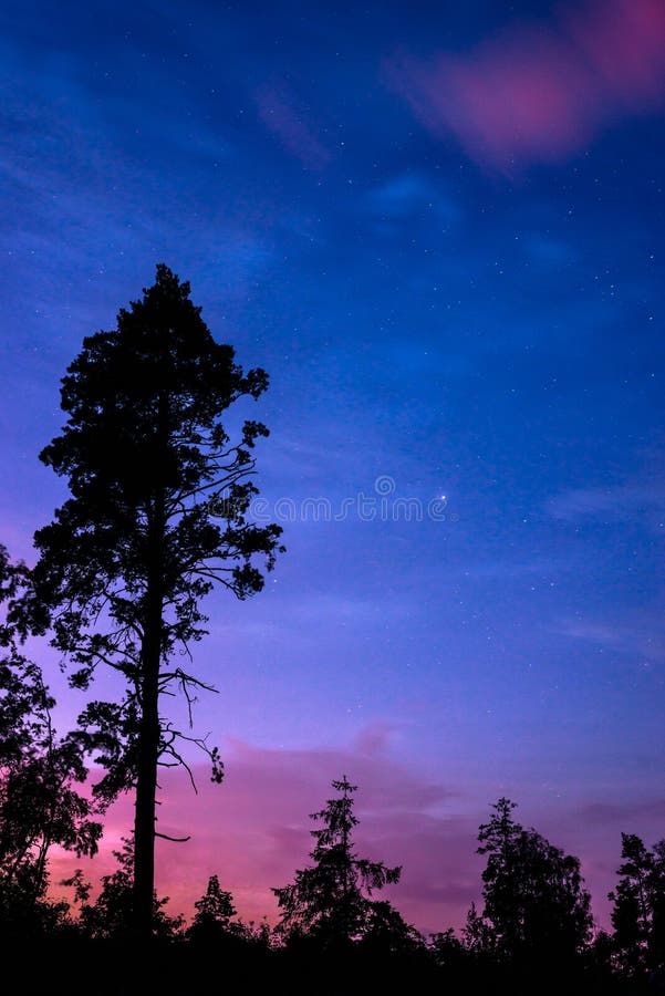 Sky & pink glow lights stock photo. Image of dusk - 5099248