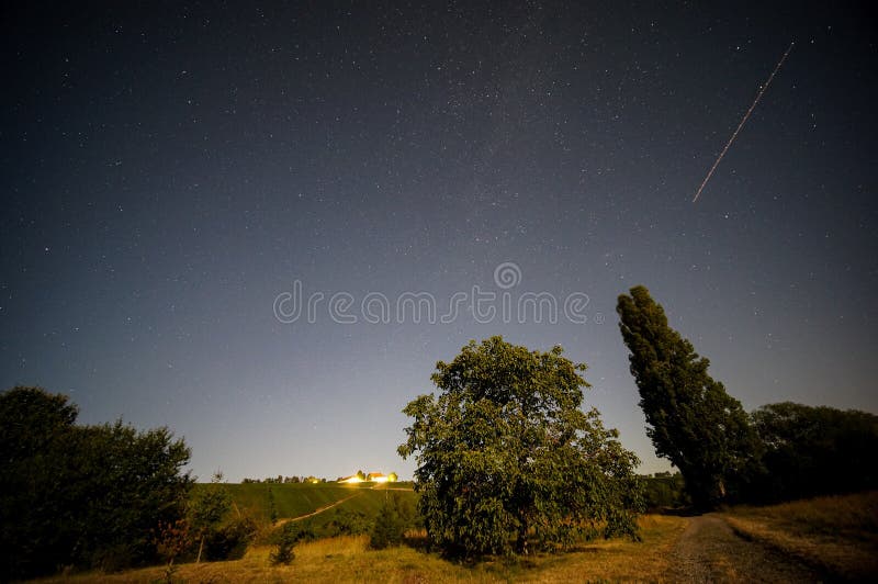 Tree at Night , Night Sky with Stars, Wide Angle Stock Image - Image of ...