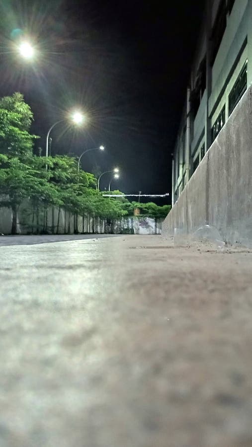 Tree in the Night Under Light Stock Image - Image of tree, night: 261805213