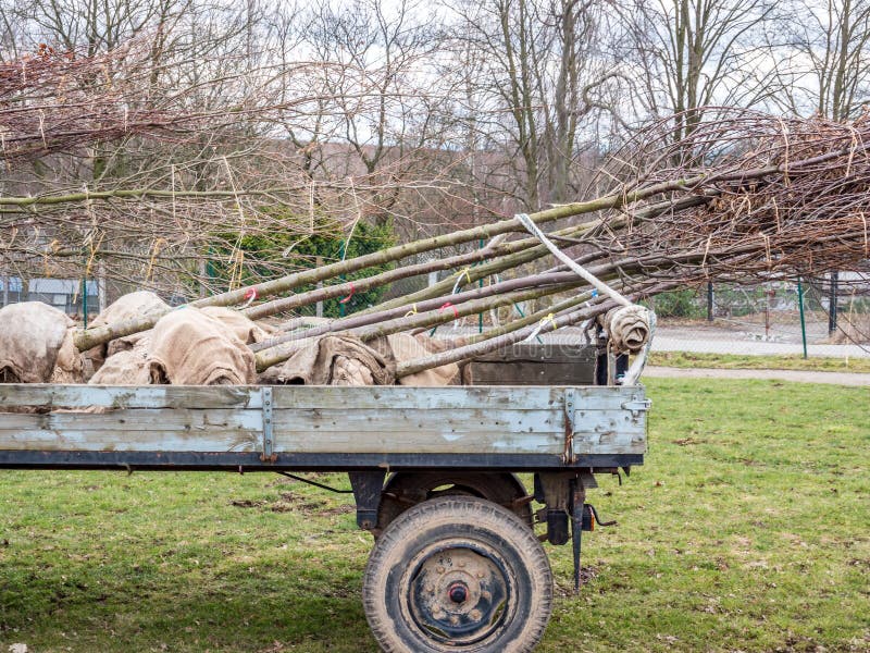 194 Farm Delivery Trucks Stock Photos - Free & Royalty-Free Stock ...