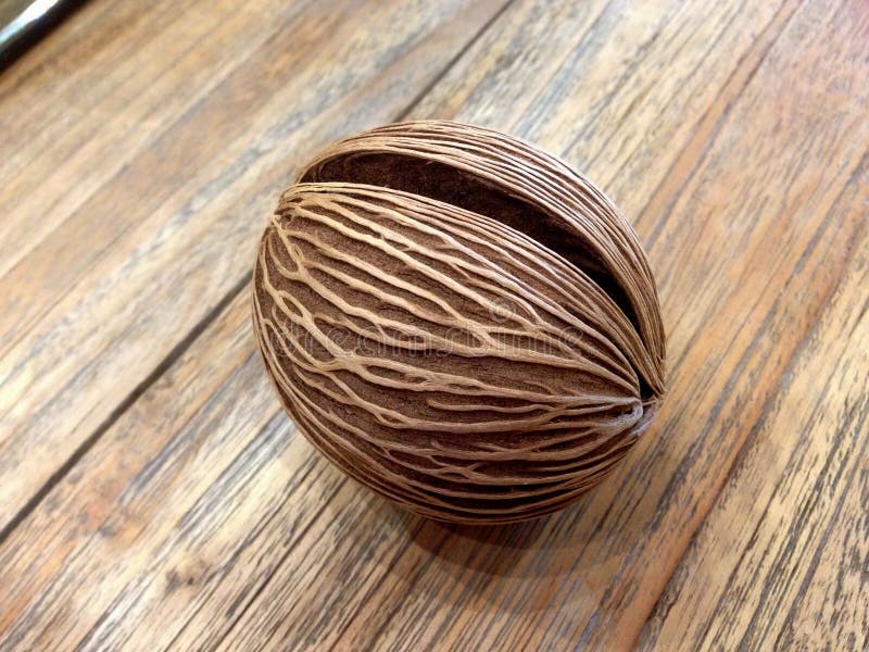 Tree nut stock image. Image of petal, table, nuts, stripe - 83827133