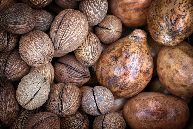 Tree Nuts, Walnut, Produce, Nut Stock Image - Image of walnut ...