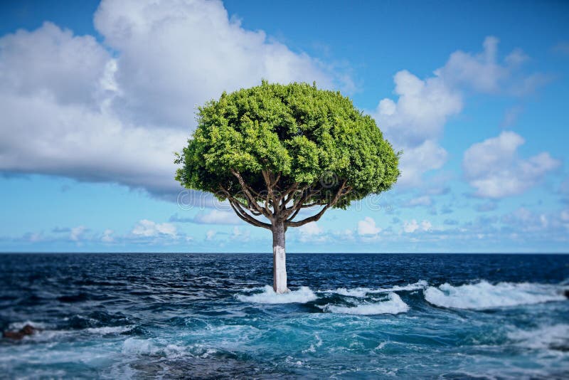 Tree in ocean stock image. Image of environmental, middle - 82794413