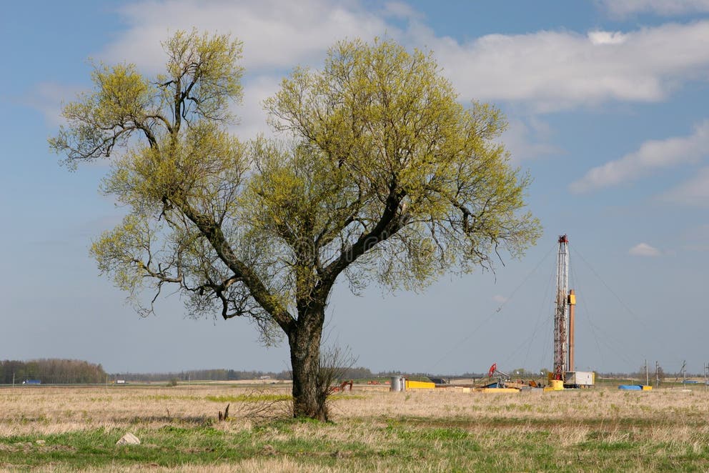 Tree and oil drilling rig stock photo. Image of black - 6895372