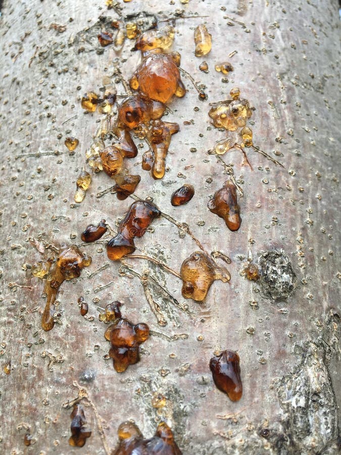 The yellow drop of resin stock image. Image of phenomenon - 72304193