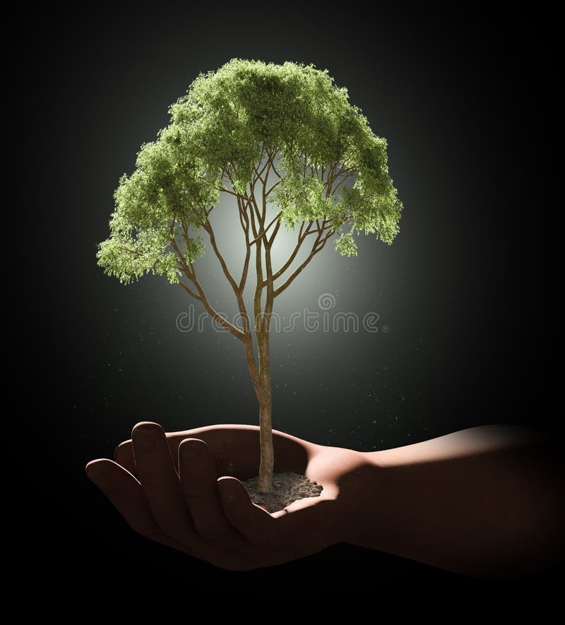 Environment Earth Day in the Hands of Trees Growing Seedlings. Bokeh ...