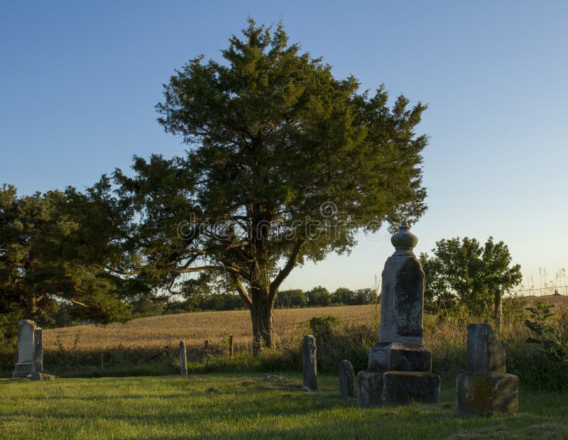 Tree at Old Graveyard stock photo. Image of graveyard - 59415794