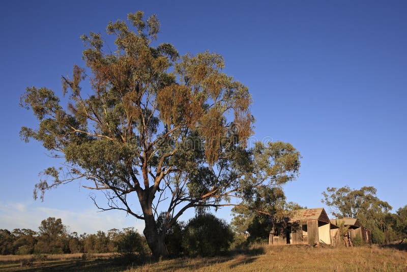Old Farmhouse in West Australian Outback Stock Photo - Image of barn ...