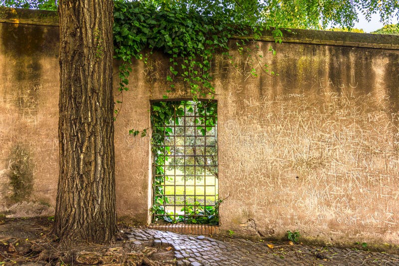 Tree and Old Wall Concrete Fence with Writing in the Early Morning in ...