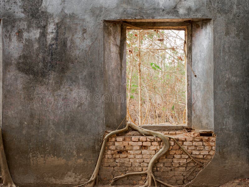 Tree in Old Window Inside Vintage Thai Temple Stock Photo - Image of ...