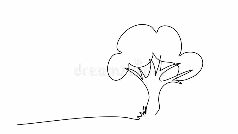 Tree. One Line Drawing Animation with Alpha Channel. Stock Video ...