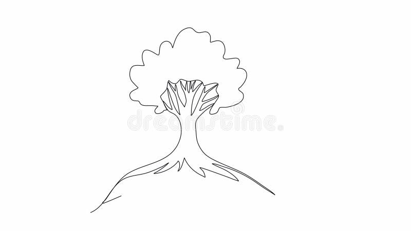 Tree. One Line Drawing Animation with Alpha Channel. Stock Footage ...