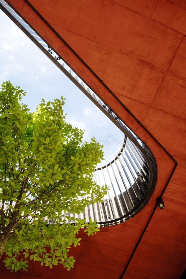 Tree through an Open Skylight in Modern Building Stock Photo - Image of ...