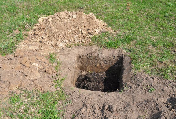 Tree Organic Fertilization Compost in Digging Hole.. Organic Fertilizer ...