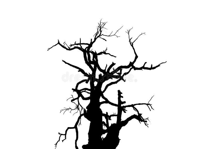Tree outline stock illustration. Illustration of dying - 634835