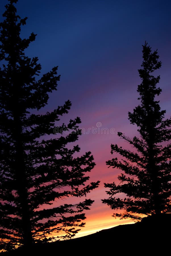 Tree Outline Sunset stock image. Image of love, faith - 19601379