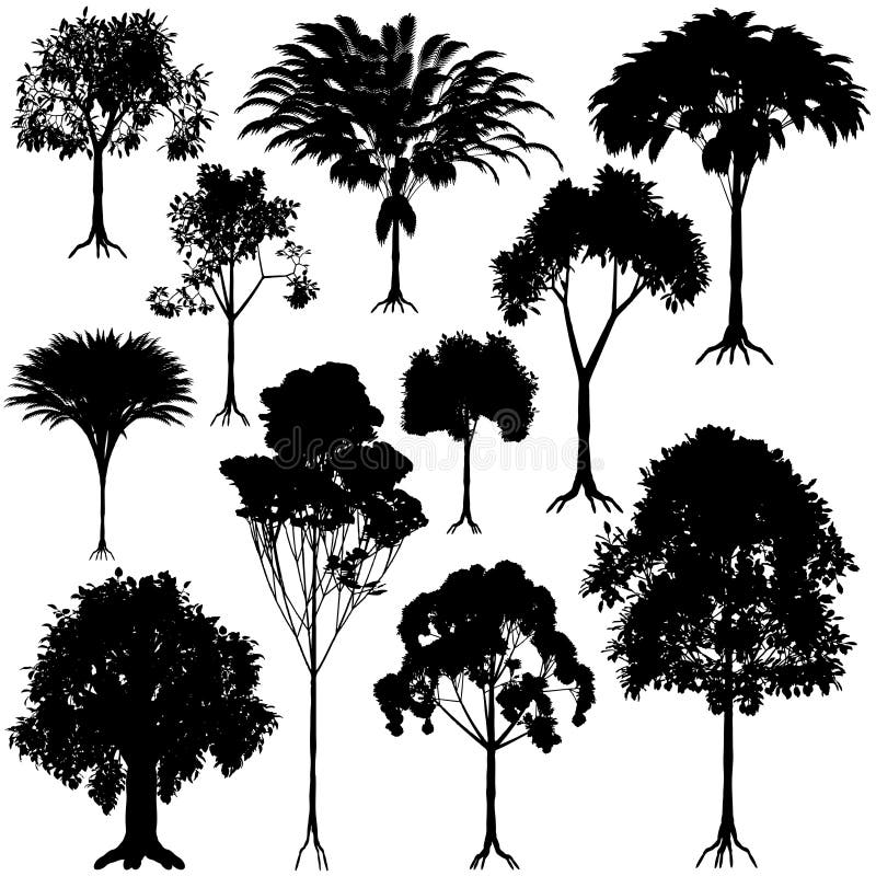 Tree outlines stock vector. Illustration of nature, collection - 7440035
