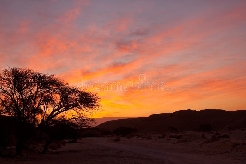 Desert sunrise stock photo. Image of early, desert, morning - 17057154