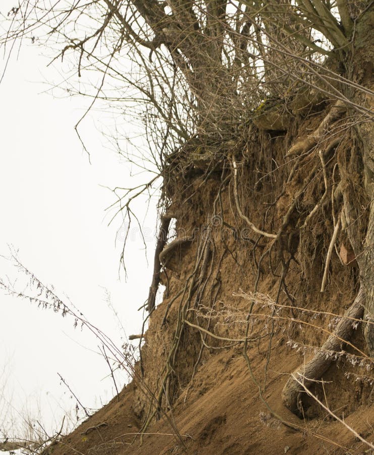 A Tree Over a Precipice a Cliff Stock Photo - Image of stones, talus ...