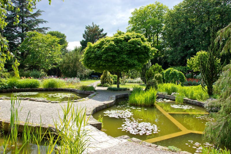 Tree Over Two Water Plant Pools Stock Photo - Image of trees, garden ...