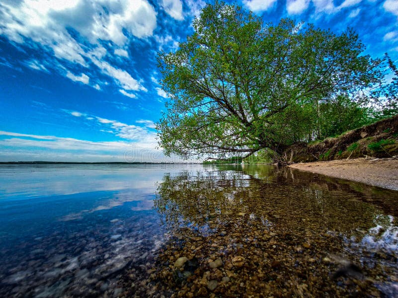 Tree Over Water the Tree is Reflected in the Water. Stock Photo - Image ...