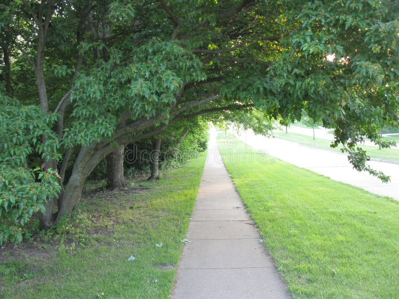 Tree Overhanging Stock Photos - Download 1,227 Royalty Free Photos