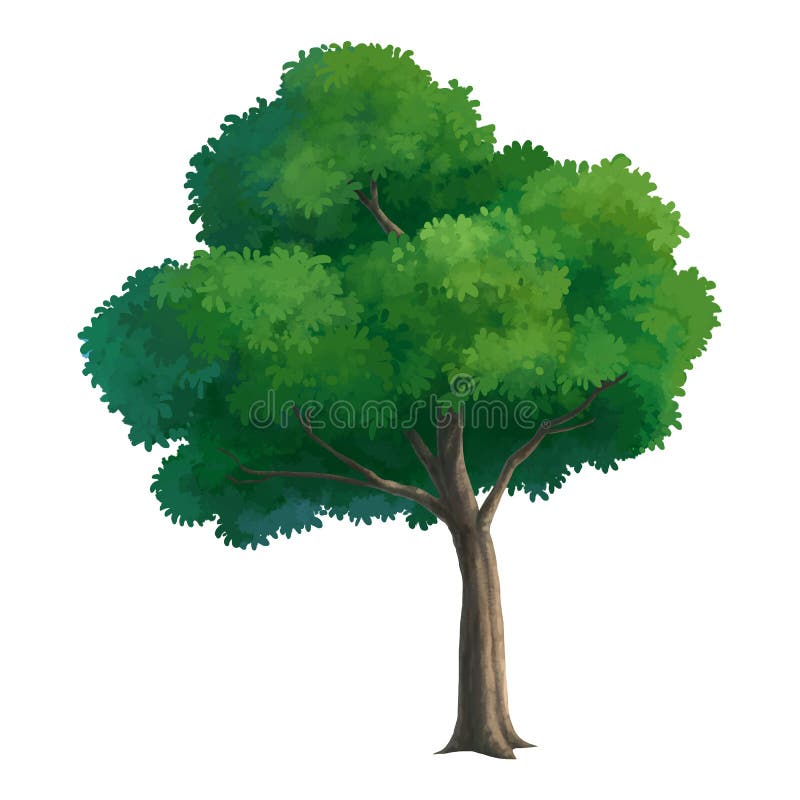 Tree paint stock illustration. Illustration of painting - 60440123