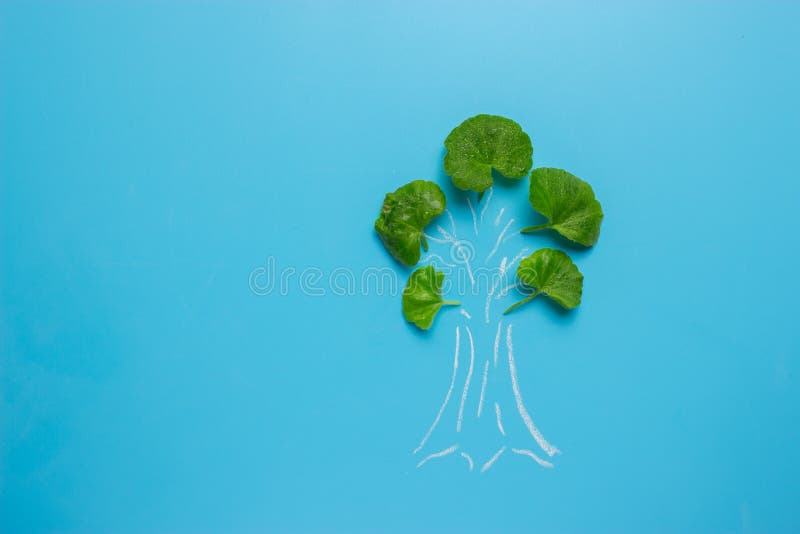 Tree Painted on Blue Background Stock Image - Image of page, nature ...