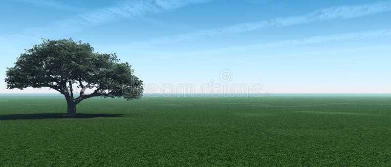 Tree_panorama stock illustration. Illustration of idyll - 1752162