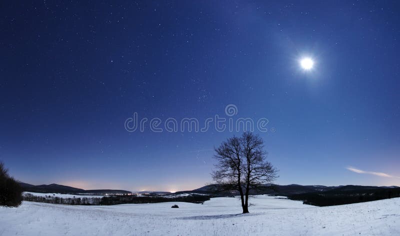 Tree Panorama at Winter Night Stock Image - Image of lake, darkness ...