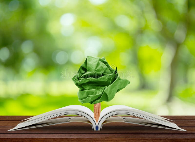 Tree Paper Growing from Book on Table. Stock Photo - Image of green ...