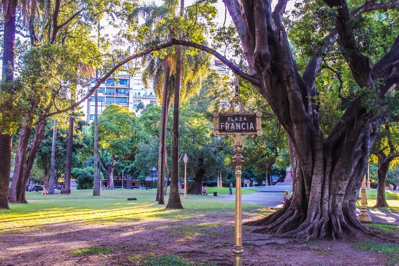 Tree in the Park Garden Tree Outside Outdoors Palm Stock Image - Image ...