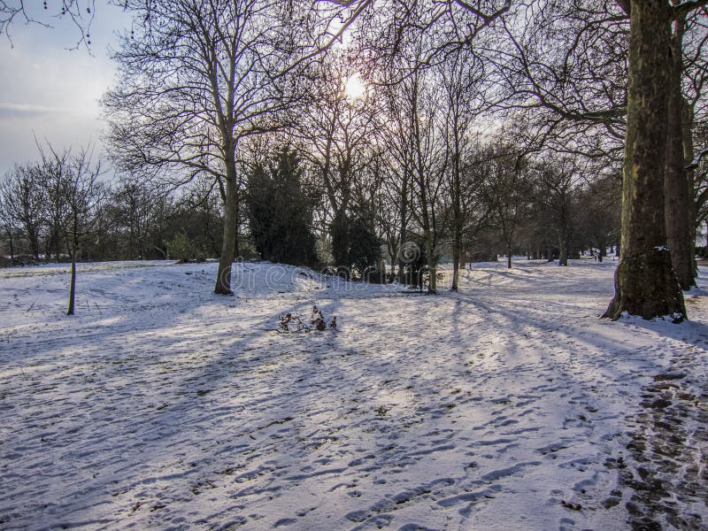 Trees in a Park on Snow in London Stock Image - Image of outdoor ...