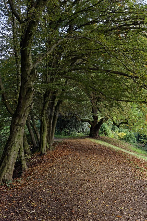 Free Stock Photos & Images - Royalty-Free & CC0 Public Domain Images by ...