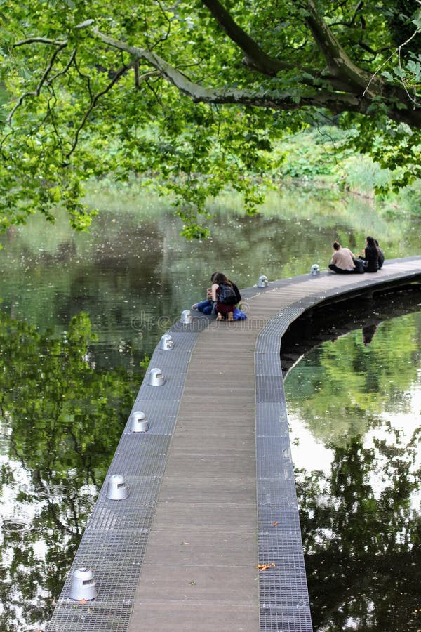 Tree, Path, Plant, Water stock photo. Image of forest - 100335644