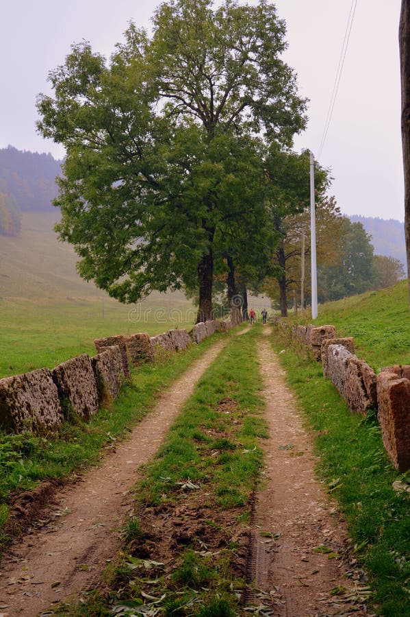 Road, Sky, Field, Path Picture. Image: 128440284