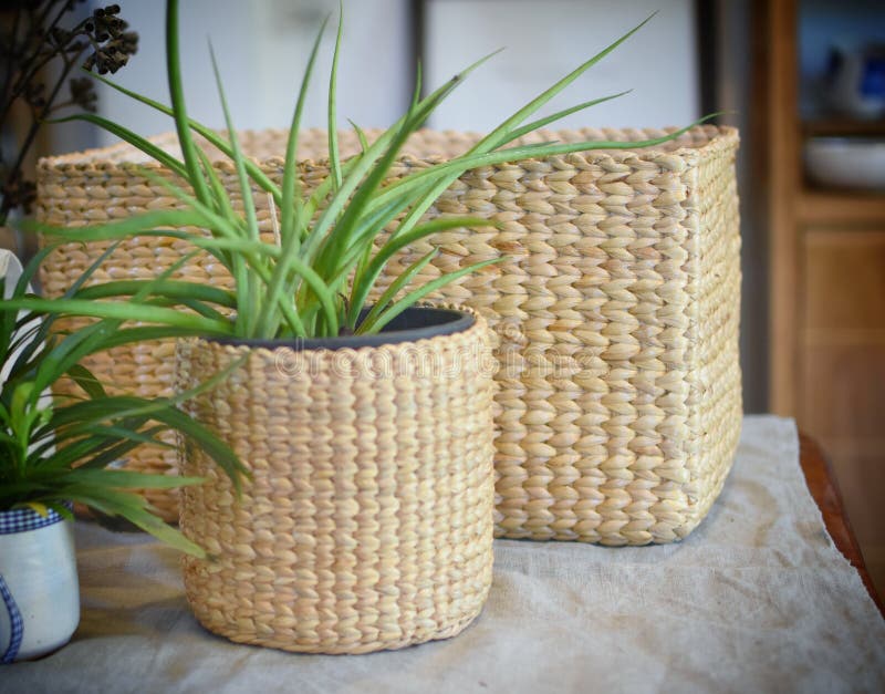 Tree Pattern in Rattan Basket for Interior Stock Photo - Image of ...
