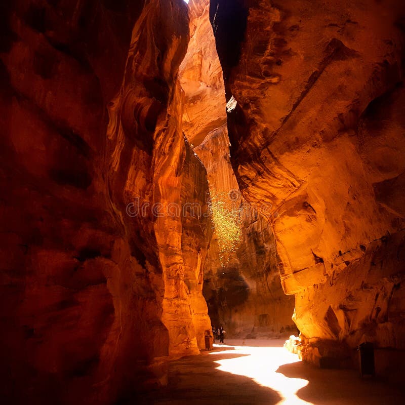 A tree in Petra, Jordan stock image. Image of mountain - 37242713