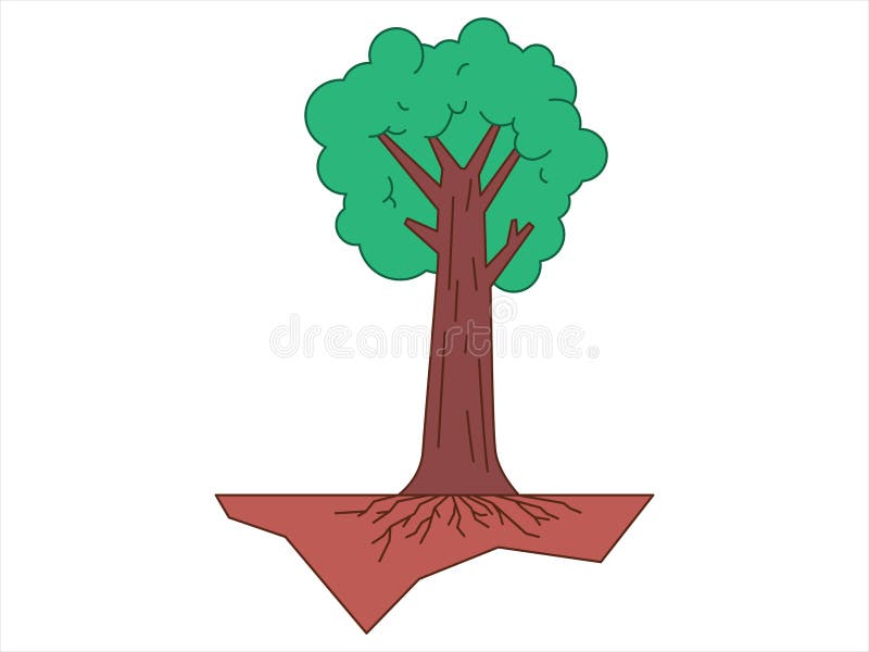 Tree Phase Progress Germinate Growth Leaves Root Branches Natural ...