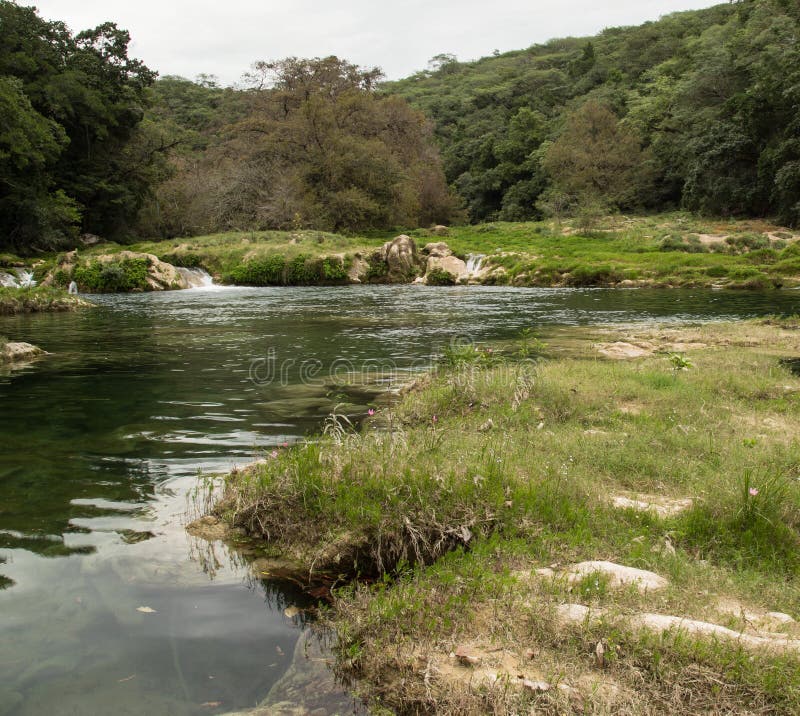 Tree Picture Tamul Waterfall, San Luis Potos Stock Image - Image of ...