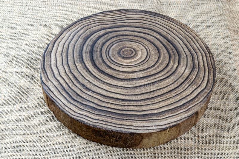 Tree Pile. Oak Stump Log Ring Isolated on Linen Background. Wood ...