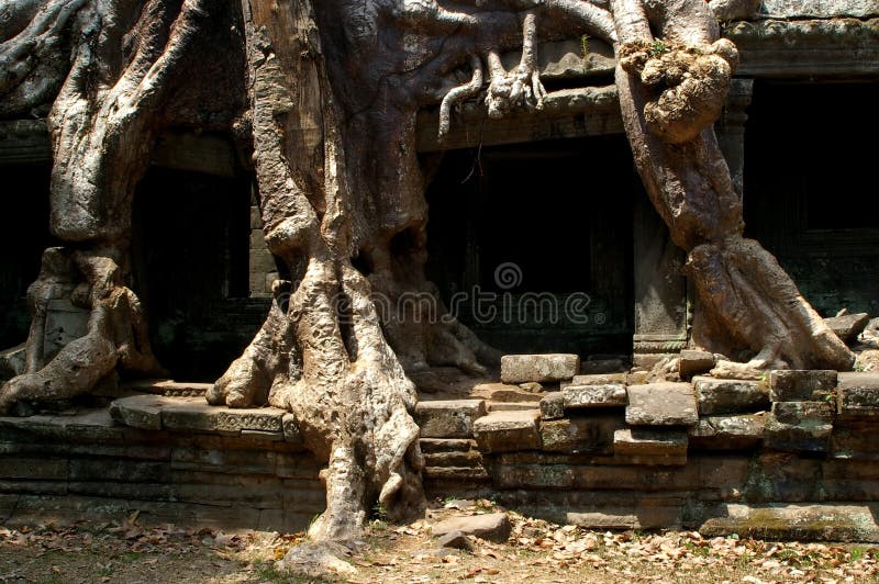 Tree pillars stock image. Image of hindu, bayon, face - 10478883