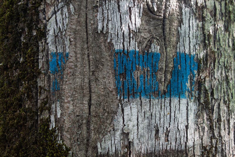 Old Label on the Tree To Guide Tourists Stock Image - Image of wood ...